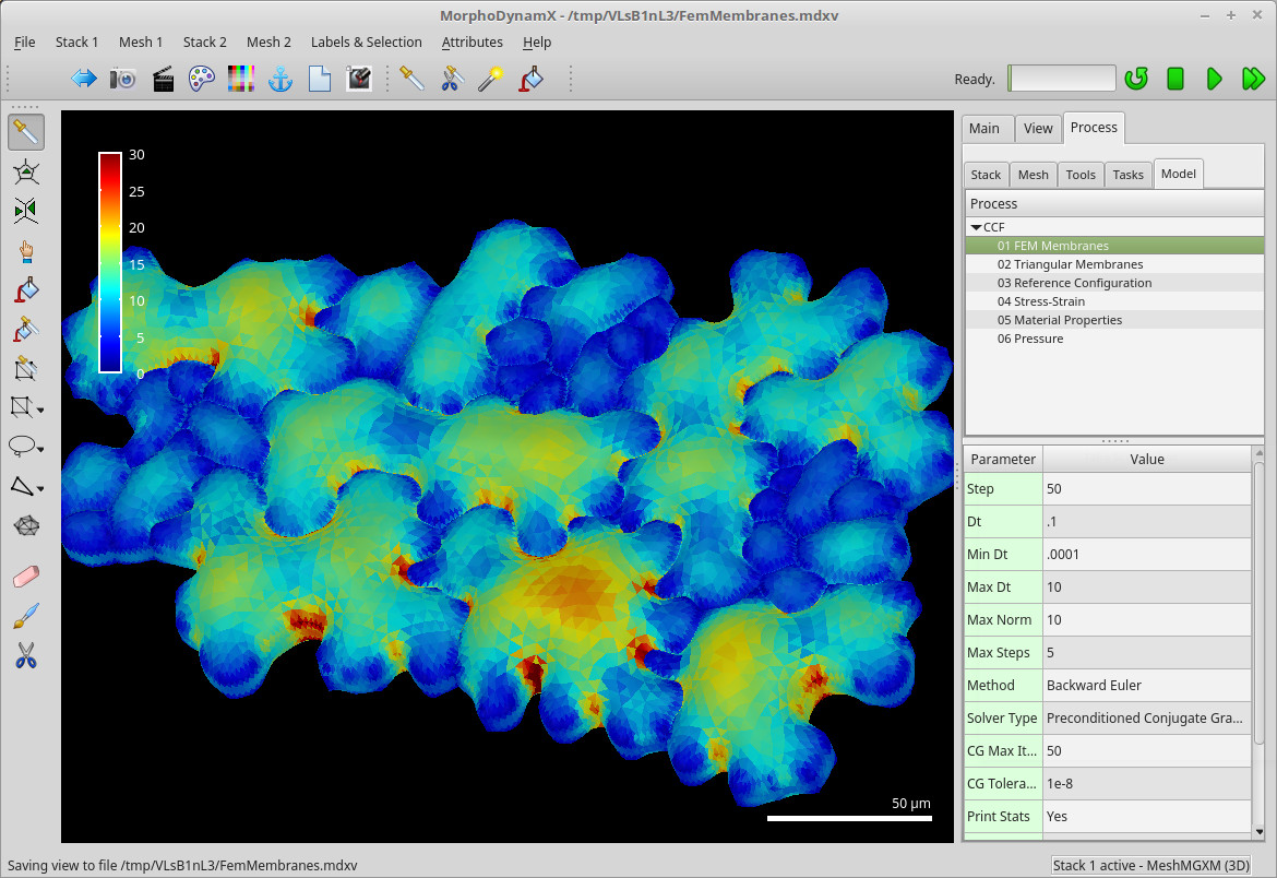MorphoMechanX – MorphoGraphX