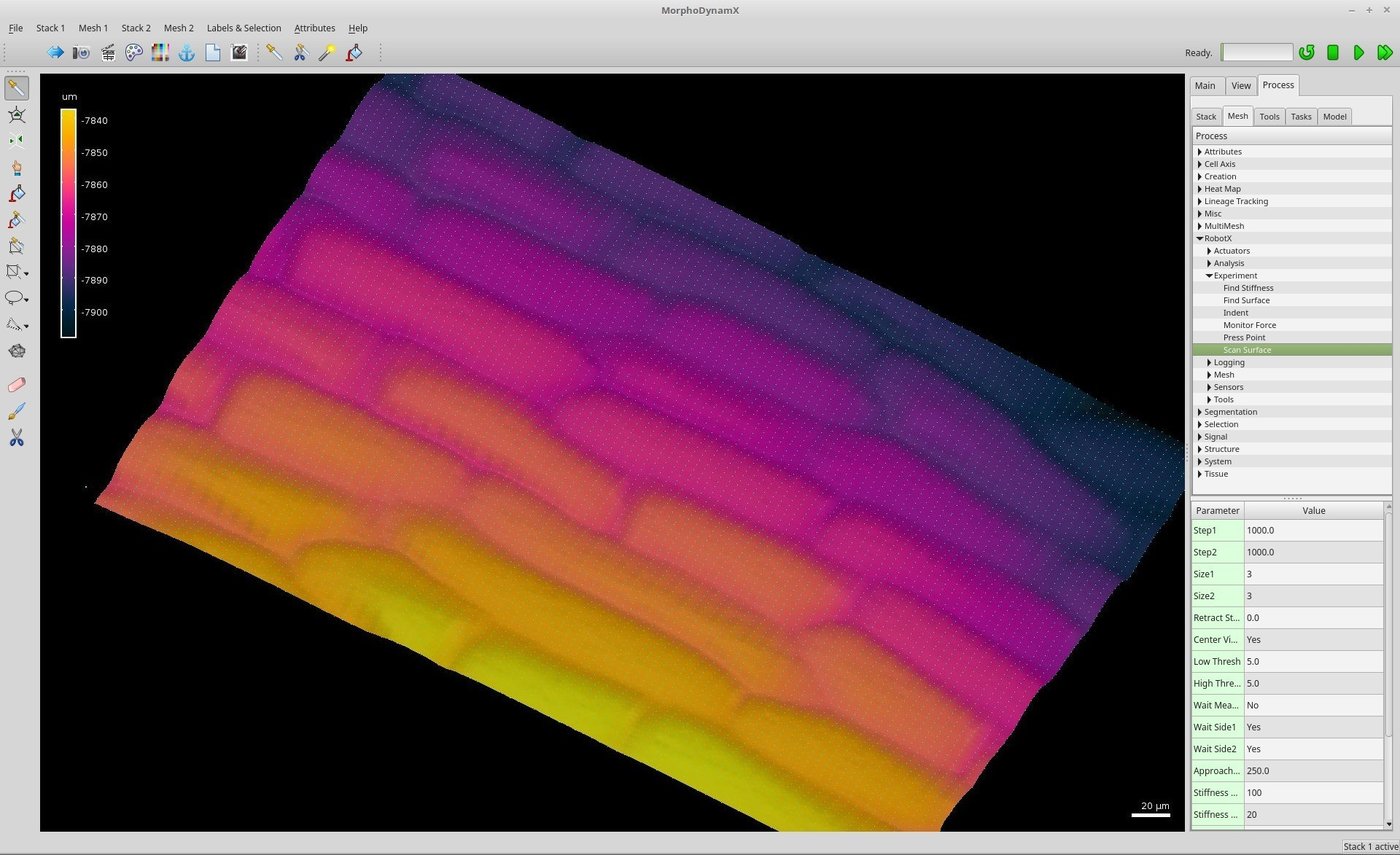 MorphoRobotX – MorphoGraphX