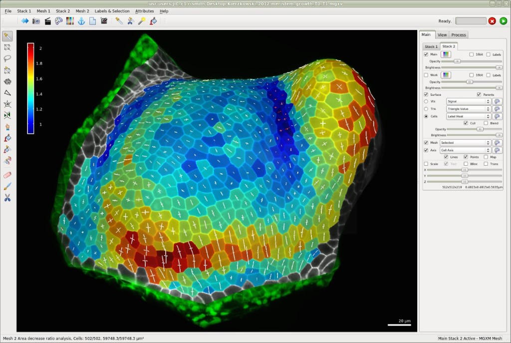 MorphoGraphX – A platform for quantifying morphogenesis in 4D