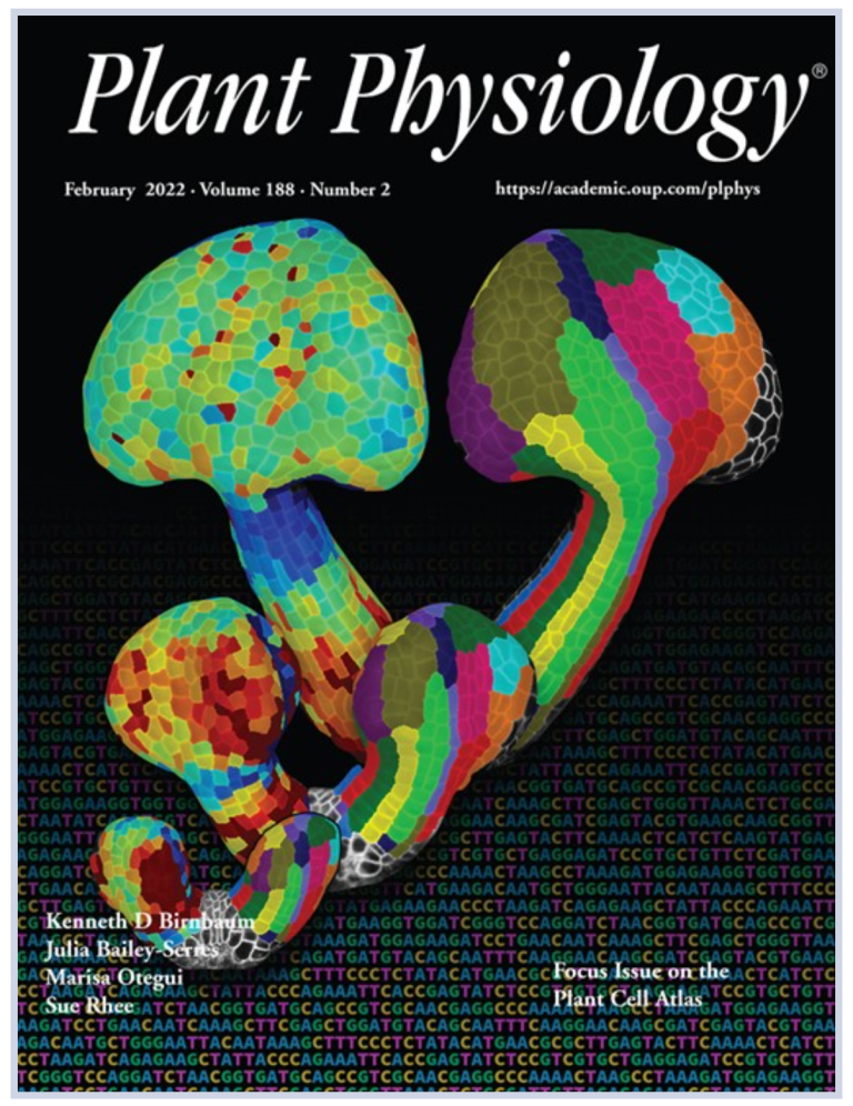 Publications – MorphoGraphX